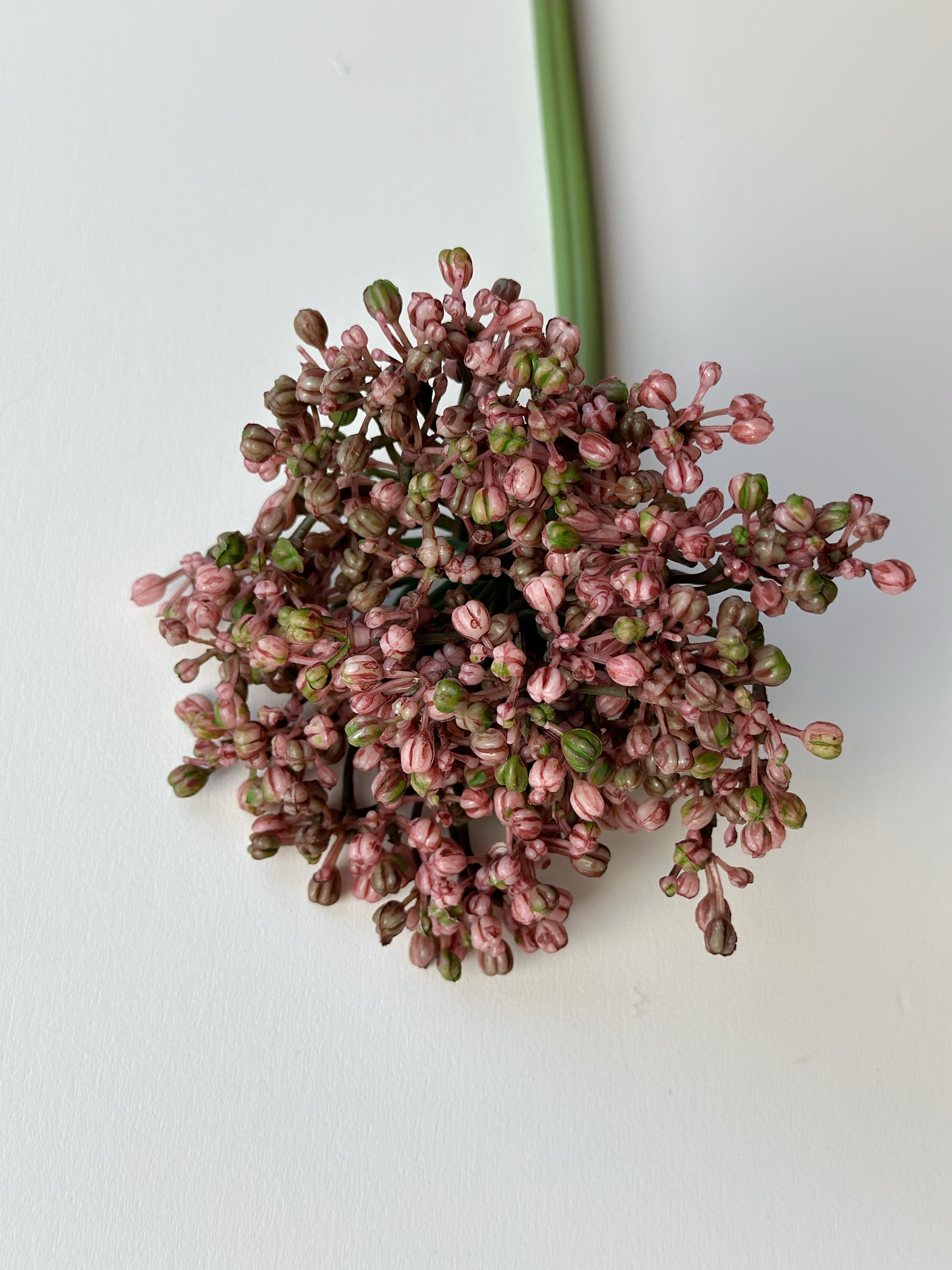 ALLIUM BUD SPRAY STEM – Vintage Barn Chicks