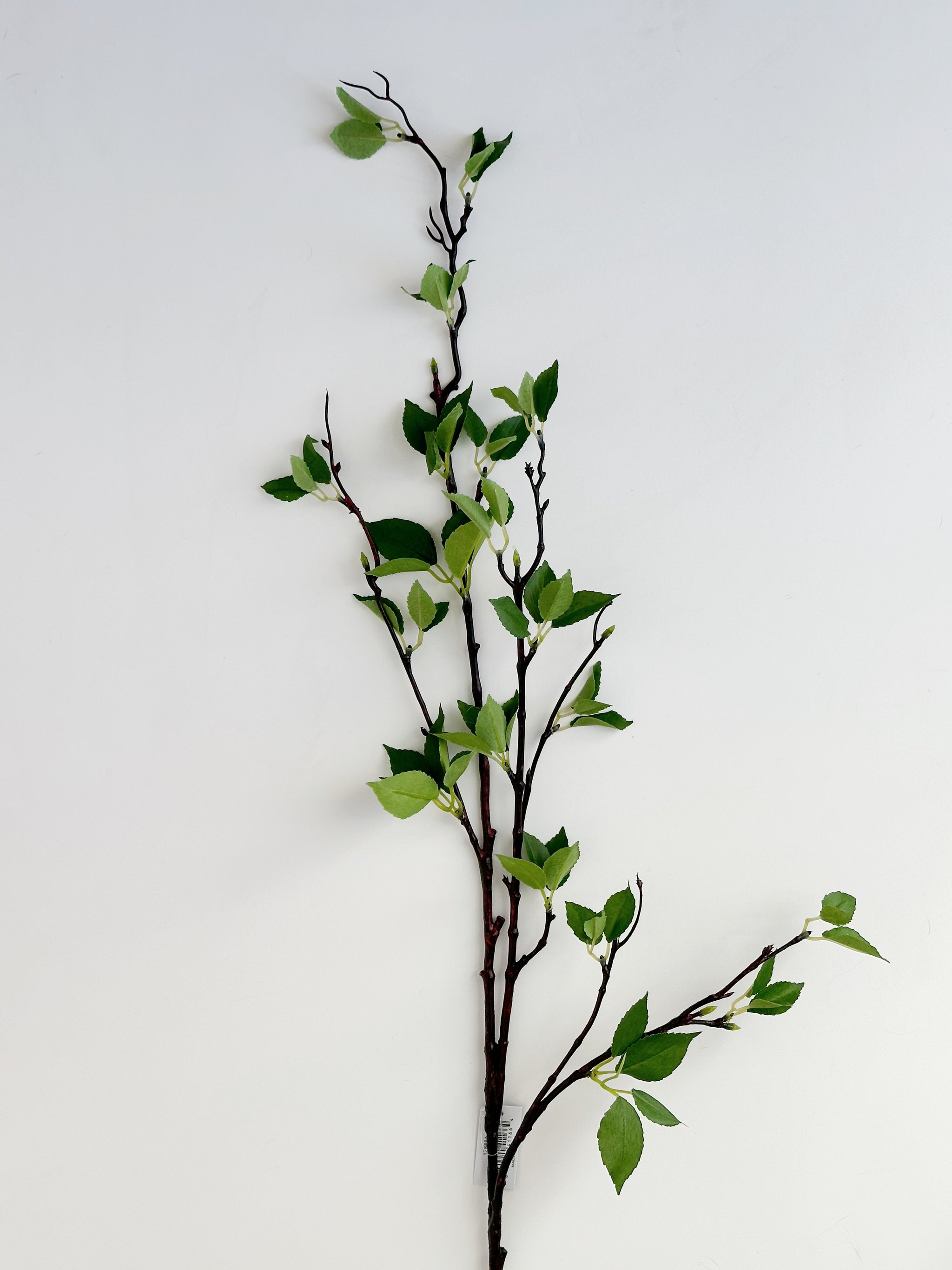 GREEN LEAF BRANCH – Vintage Barn Chicks