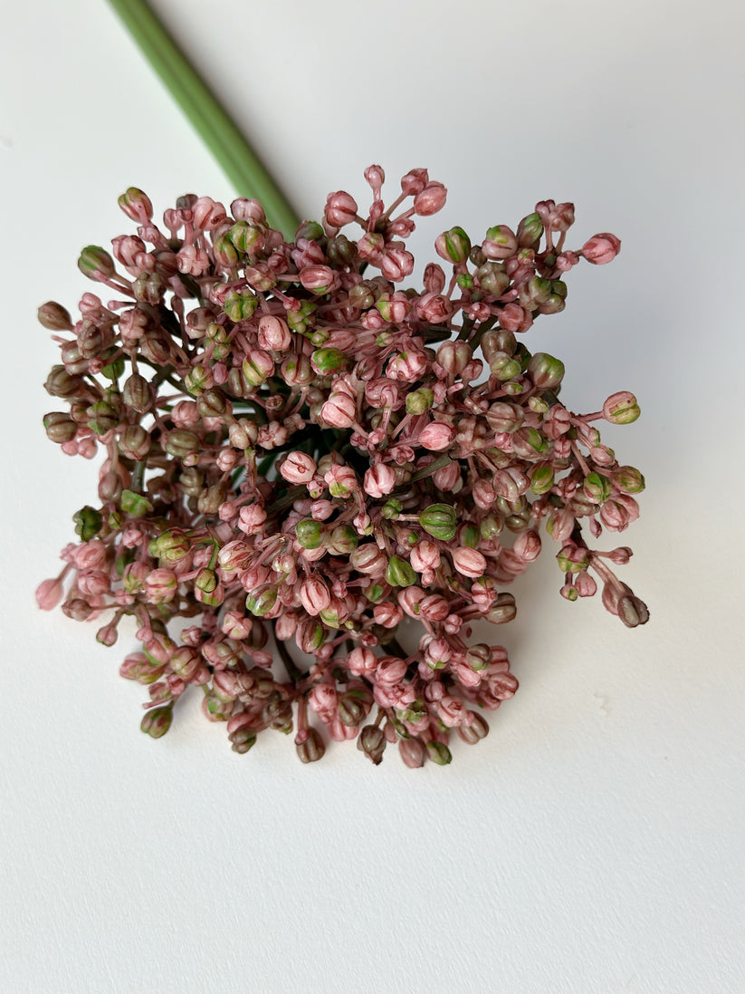 ALLIUM BUD SPRAY STEM – Vintage Barn Chicks